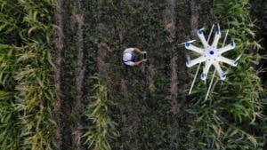7 Best Agricultural Drones [year] (A Complete Buying Guide)